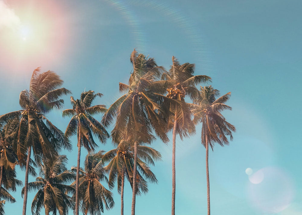 Hair Extensions and Holidays - Our Top 10 Tips | SimplyHair